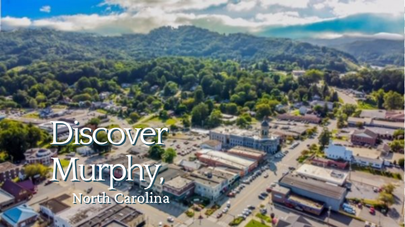 Hello From Murphy – Your insider’s guide to living beautifully in ...